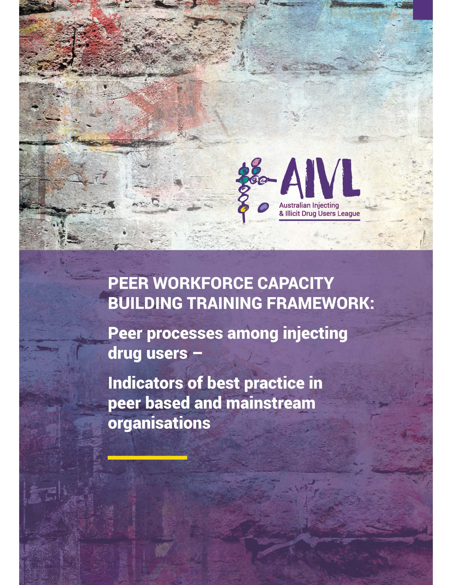 Peer Workforce Capacity Building Training Framework - Australian Injecting and Illicit Drug ...