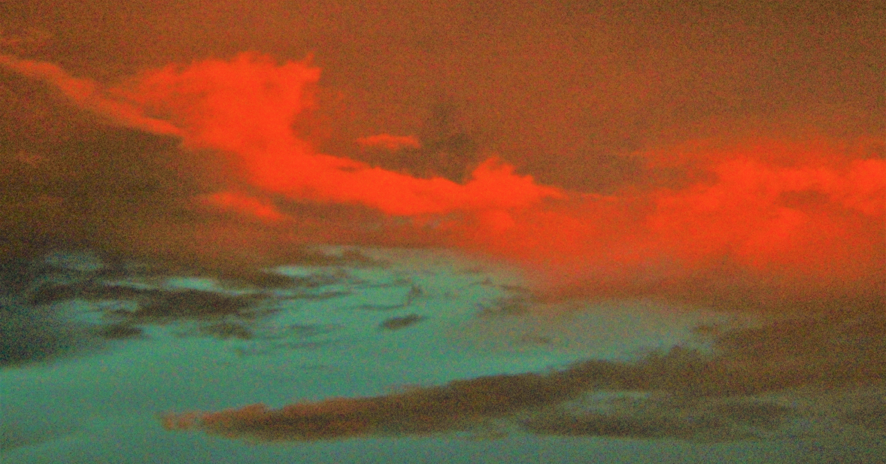 Vein Care Guide - Australian Injecting and Illicit Drug Users League