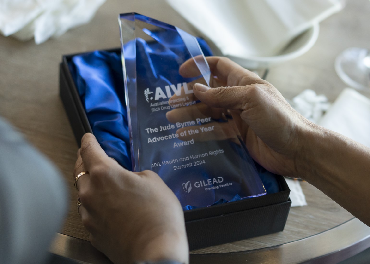 Celebrating Excellence: Inaugural AIVL Network Awards Recipients 2024 ...